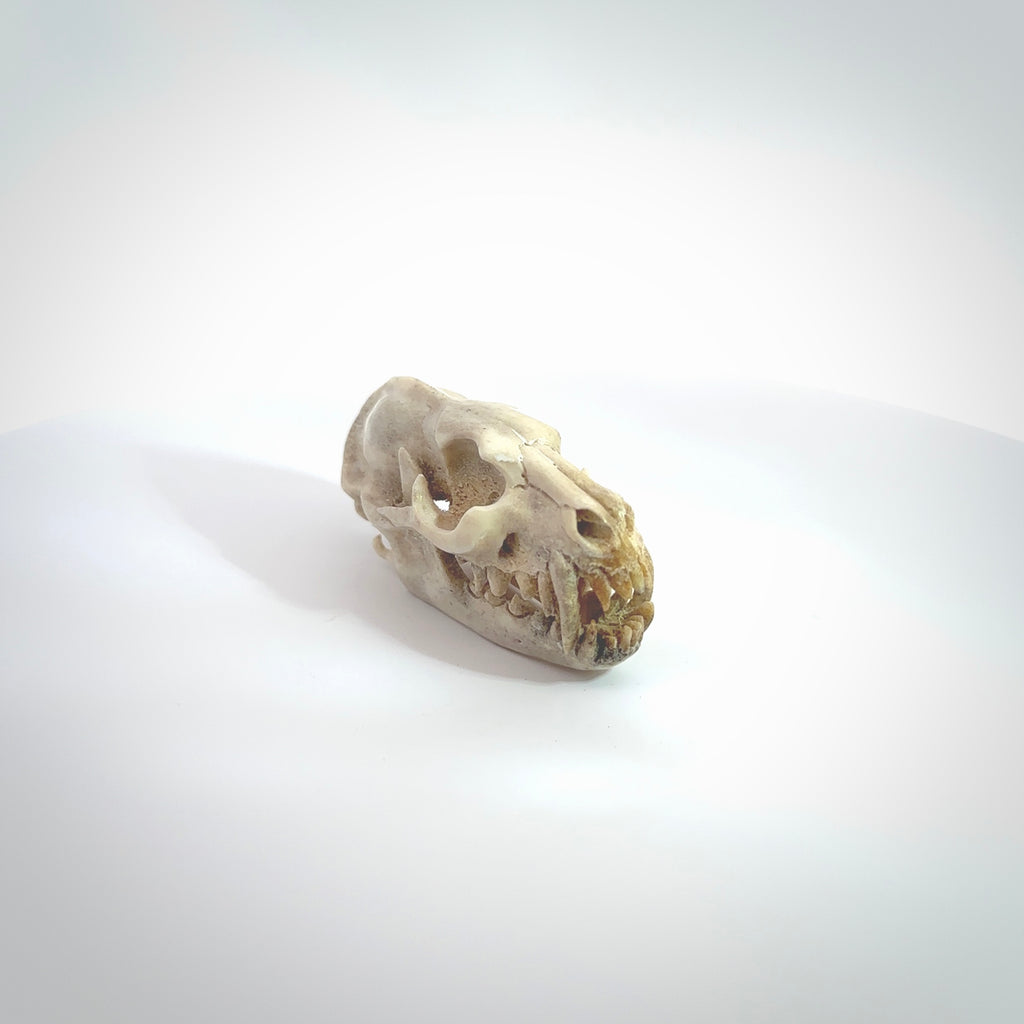 HAND CARVED DEER ANTLER CAT SKULL PENDANT. CAT SKULL ART. CAT SKULL ...